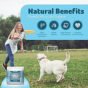 Pawadox - Hemp Joint Chews for Dogs - Mobility Hemp Dog Treats for Hip and Joint Health, Organic Turmeric Supplement for Dog Arthritis Pain Relief- Made in USA, SQF Certified - Duck Flavor,120 Count