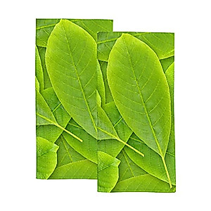 Green Leaf Dish Towel 2PC Hand Towels for Bathroom 15" x 30" Absorbent Soft for Hand, Face, Kitchen, Hotel, Spa, Gym, Swim
