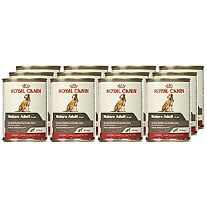 Royal Canin Canine Health Nutrition, Mature Adult In Gel Canned Dog Food, 13.5 oz Can (Case of 12)