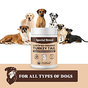Special Breed Turkey Tail Mushroom for Dogs and Cats - Certified Organic Turkey Tail Powder, Canine Immune Support, 200 Grams