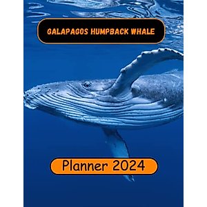 Galapagos Humpback Whale Planner 2024