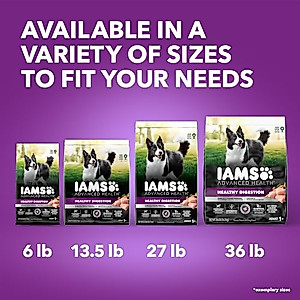 Iams Advanced Health Adult Healthy Digestion Dry Dog Food with Real Chicken, 6 lb. Bag