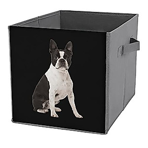 Boston Terrier Collapsible Storage Bins Basics Folding Fabric Storage Cubes Organizer Boxes with Handles