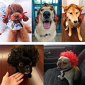 Halloween Funny Pet Wigs for Dogs, Cat Wigs.Dog Birthday, Dog Cosplay, Dog Costumes, Pet Wigs. (Red Explosive Head)