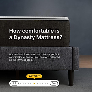 DynastyMattress Queen Mattress 14.5” Inch CoolBreeze Plush Medium-Soft Gel Memory Foam Mattress Bed, Queen Size 60x80 (USA Made)