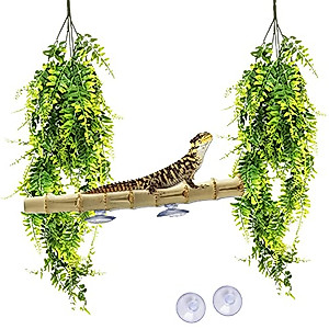 kathson Reptile Plants Hanging Plastic Fake Climbing Terrarium Plant Decor Bearded Dragons Corner Branch Habitat Decorations for Amphibian Lizards Crested Gecko Snake Hermit Crab Frogs (Bamboo) 3Pcs