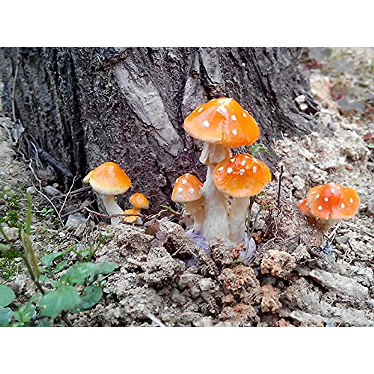 6 Pcs Mini Mushroom Miniature Figurines Resin Figurines Fairy Garden Miniature Moss Landscape DIY Terrarium Crafts Ornament Accessories for Home Décor