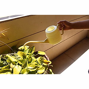 JapanBargain 1942, Japanese Long Spout Water Can for Bonsai Succulents Cactus Rosettes Indoor Outdoor Plants Control Flow Made in Japan, 850 ml, 2 Pack