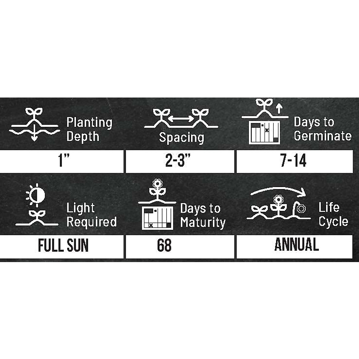 Bulk Pea Seeds for Planting - Grow Mammoth Snow Melting Sugar Pod Peas in Home Outdoor Garden - Non-GMO Heirloom with Instructions to Plant a Home Vegetable Garden (4 Ounces)