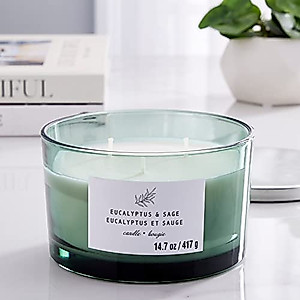Michaels Bulk 8 Pack: Eucalyptus & Sage 3-Wick Jar Candle by Ashland®