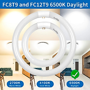 FC8T9 22W and FC12T9 32W Circular Light Bulb, Daylight 6500K Set, Round Repalement Bulbs, 8 Inch 22 Watts and 12 Inch 32 Watts Circline Kitchen and Bath Fluorescent Lamp, G10q 4 Pin Base, 2 Pack