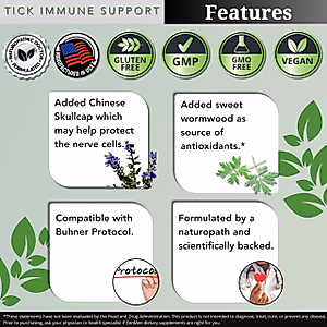 Zenmen Tick Immune Support Supplement - Improved Formula - Japanese Knotweed, Cat's Claw, Chinese Skullcap, Cryptolepis Sanguinolenta, Sweet Wormwood - 90 Vegan Capsules, Made in The USA