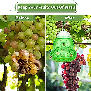 Wasp Traps Outdoor Hanging, Wasp Repellent Outdoor Yellow Jacket Bee Traps Catchers Killer for Outside Carpenter Hornet Wasp Deterrent Non-Toxic Reusable Hanging Bee Trap 2 Pack Green