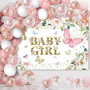 Baby Shower Decorations for Girl, 247PCS Floral Girl Baby Shower Decorations Party Supplies with Background, Disposable Tableware (24 Guests), "It's A Girl" Banner, Butterfly Balloon Kit &Tablecloth