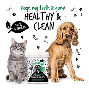 BUGALUGS Plaque Off Remover for Dog Teeth & Bad Breath 100% Natural | Plaque Off No Toothbrush or Dog Toothpaste | Remove Dog Bad Breath & Plaque Remover for Dogs & Cats (Dog 70g)