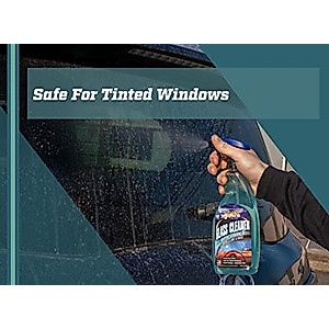 Gliptone Glass Cleaner with Anti Static, Repels Lint & Dust (22 Fl Oz)