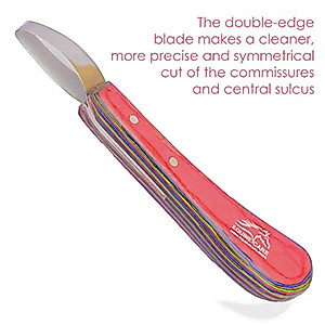 Equine Care Farrier Hoof Loop Knife - Sharp J2 Steel Blades with Comfortable Sheet Handle - Ideal for Farriers and Horse Owners