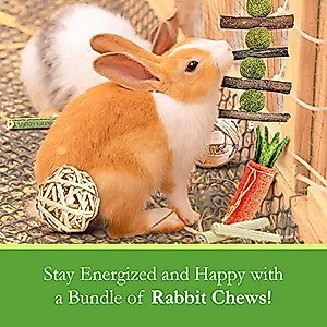 Meric Rabbit Chew and Activity Set, Handmade Teeth Grinding Sticks for Bunny’s Oral and Digestive Care, 14 Pcs Per Pack