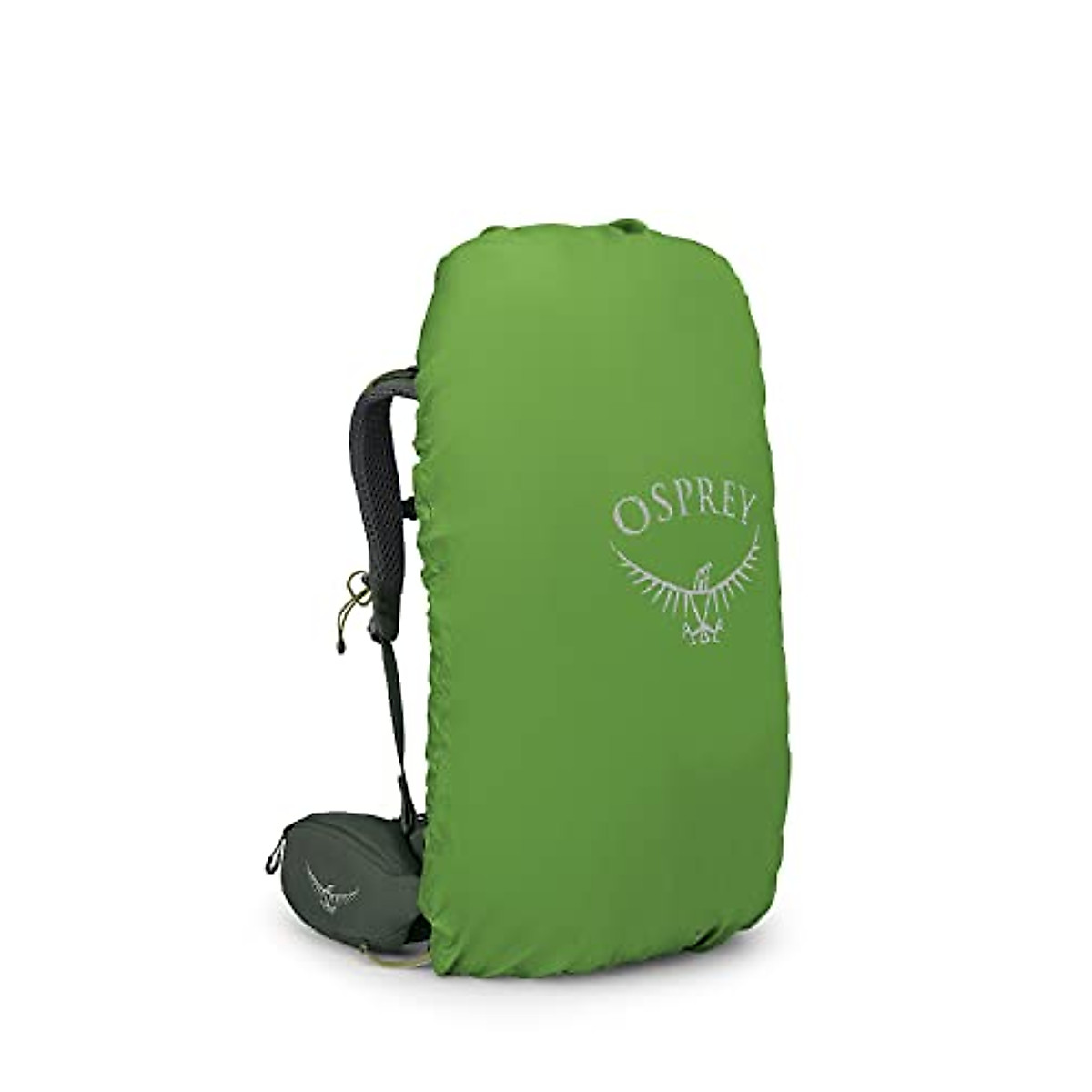 Osprey Kestrel 38L Men's Backpacking Backpack, Bonsai Green, S/M