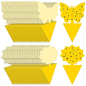 Landisun Fruit Fly Sticky Traps 48PCS Fungus Gnat Traps Bug Traps Gnat Killer for Indoor Outdoor House Kitchen Plants Whitefly Mosquitos Flying Insects JPM0149 Yellow