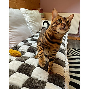 FUNNY FUZZY Couch Covers for Sofa, Pet Mat Bed Couch Cover Washable Pet Bed Cover Cream-Colored Large Plaid Square Protective Furniture Sofa Cover, 27.6"×59.1"