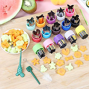 Mini Cookie Cutter Set 30 pcs for Kids Vegetable Cutters and Fruit Stamp Mold Different Shapes and Sizes Stainless Steel