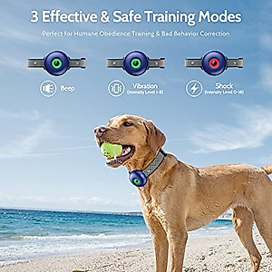 Dog Shock Collar, Dog Training Collar with Remote, Haoteful Shock Collar for Large Medium & Small Dogs, 2000ft Range,3 Modes Beep/Vibration/Safe Shock