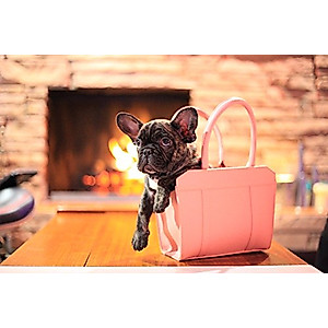 Marsi Bond Audrey Mini Tote (Black)