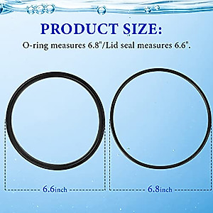Etotel R0449100 Lid Seal with O-Ring Replacement Kit - Compatible with Zodiac Jandy Pool and Spa Pumps for Zodiac Jandy PlusHP WaterFeature MaxHP Series Pool Pump - 1 Pack(2 Pieces)