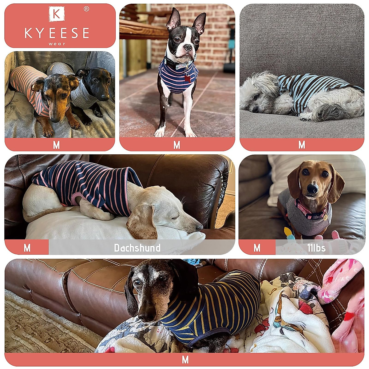 KYEESE 2Pack Dog Sweater Soft Dog Clothes Warm Dachshund Clothes Turtleneck Dog Coats Dog Sweaters for Small Dogs Girl Pullover Small Dog Sweaters Stretchy Dog Sweatshirt