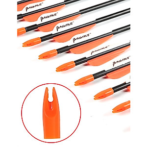 PANDARUS Archery 28" Fiberglass Archery Target Practice Arrows, for Children, woman or Beginner, for Recuve Bow(Pack of 12) …