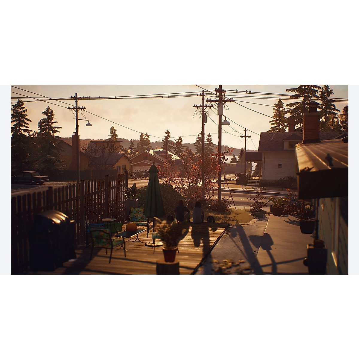 Life is Strange 2 (PS4)