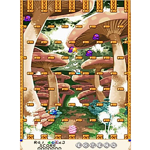 Bubble Bobble: Double Shot - Nintendo DS