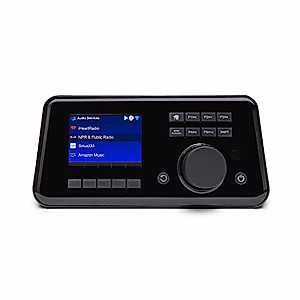 Grace Link Internet Radio Tuner and Streaming Music Player with Chromecast Built-in: Stream Hi-Fi Music to Your Stereo System