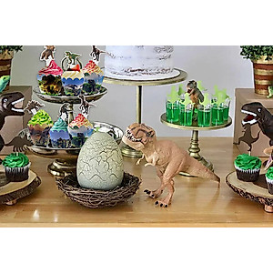 Dinosaur Cupcake Toppers and Wrappers 48 pcs Jurassic Park Cupcake Toppers for Dinosaur Themed Birthday Party