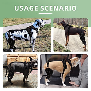 LISPOO Dog Knee Brace for Torn Acl Hind Leg, Luxating Patella, Cruciate Ligament, Dog Acl Knee Brace Support Back Leg with Arthritis Pain, Acl Brace for Dogs Rear Leg (XL)