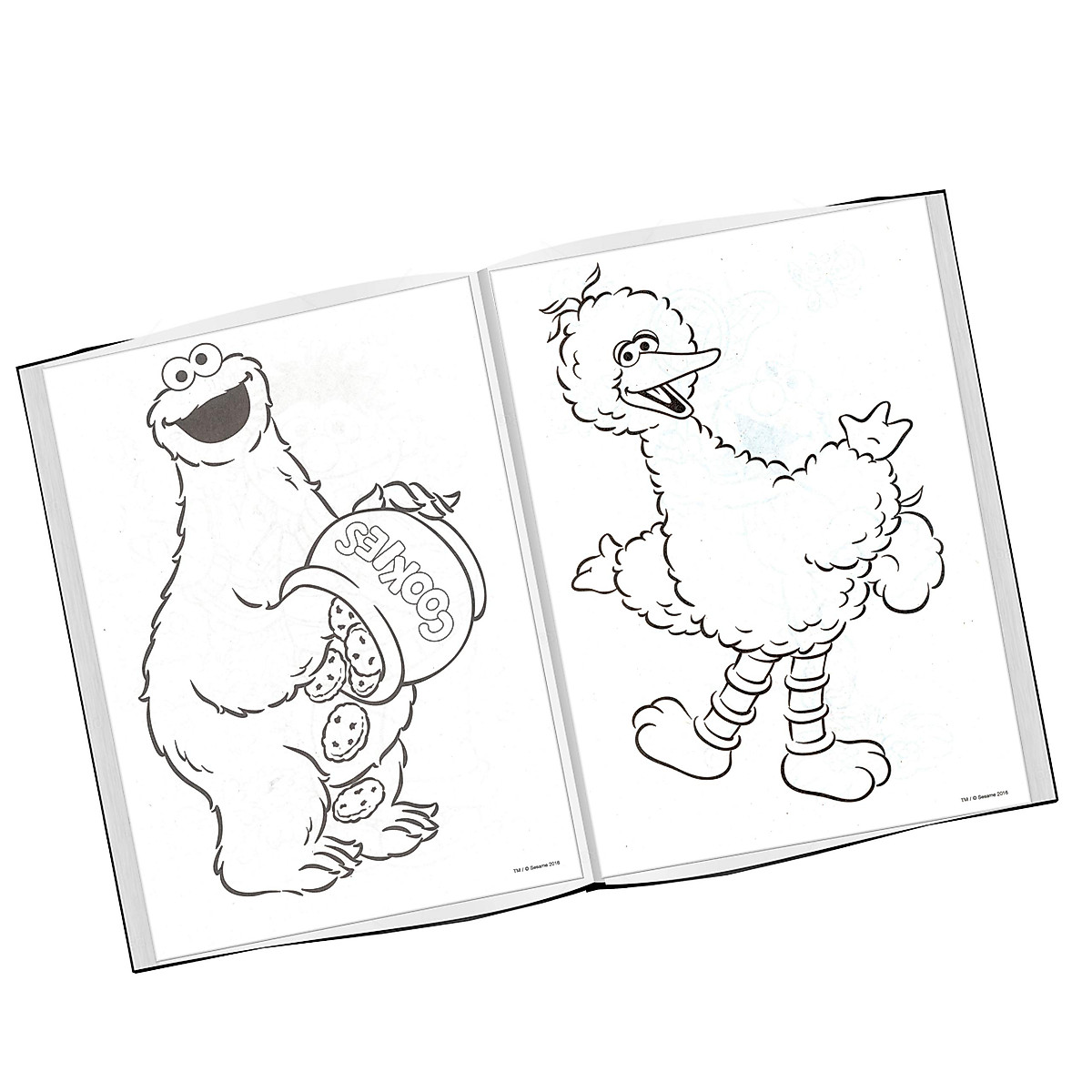 Sesame Street Gigantic Coloring and Activity Book