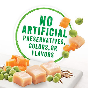 Purina Beneful Wet Dog Food, Chopped Blends With Chicken - 10 oz. Tubs (Pack of 8)