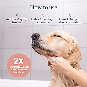 Veterinary Formula Clinical Care Hot Spot & Itch Relief Medicated Shampoo for Dogs and Cats 16oz – Helps Alleviate Sensitive Skin, Scratching, and Licking of Coat