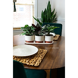 The HC Companies 15 Inch Oval Sprite Pot Plant Saucer - Indoor Outdoor Plastic Plant Trays for Pots - 15"x5.21"x.93, Artisan Taupe