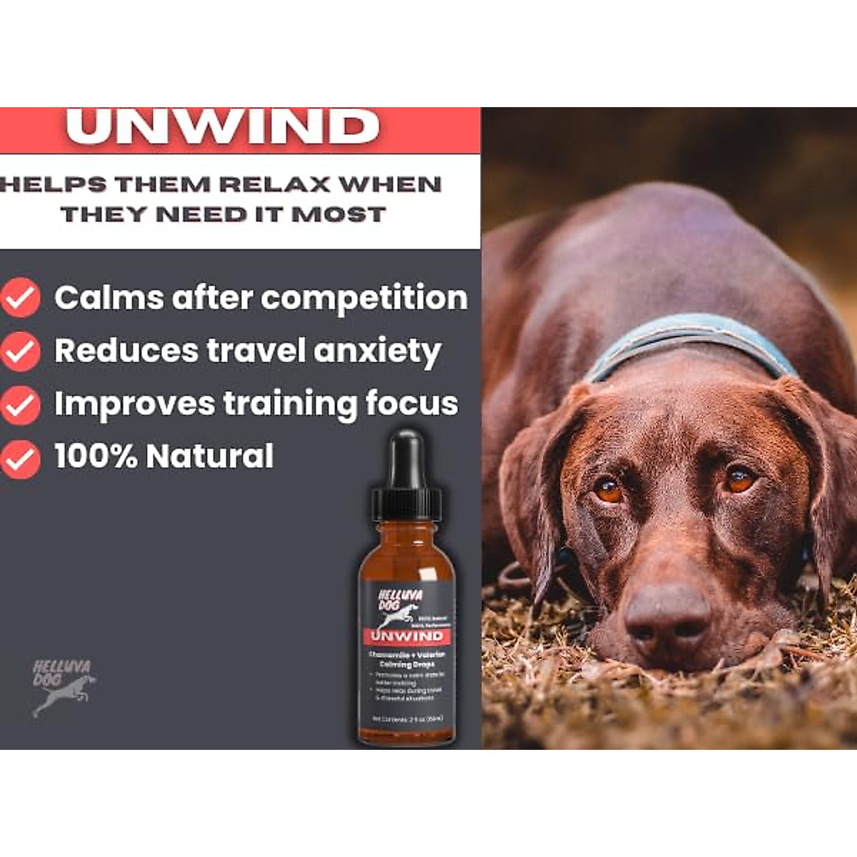 Unwind by Helluva Dog - Natural Anxiety Calming Drops for Active Performance Dogs — MCT Oil, Chamomile & Valerian Drops for Focused Training, Relaxation Before and After Activity, 2oz Bottle