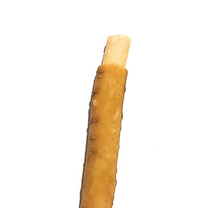 Miswak Stick - Sewak Al-Falah - Hygienically Processed and Vacuumed Packed - 1 Stick by Al-Falah Impex