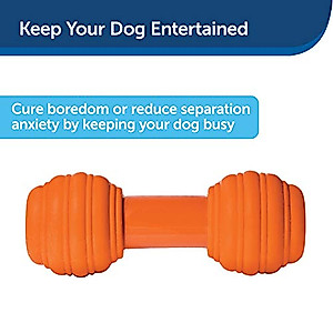 PetSafe Sportsmen Chuckle Interactive Dog Toy with Noise Maker - Use with Food or Treats