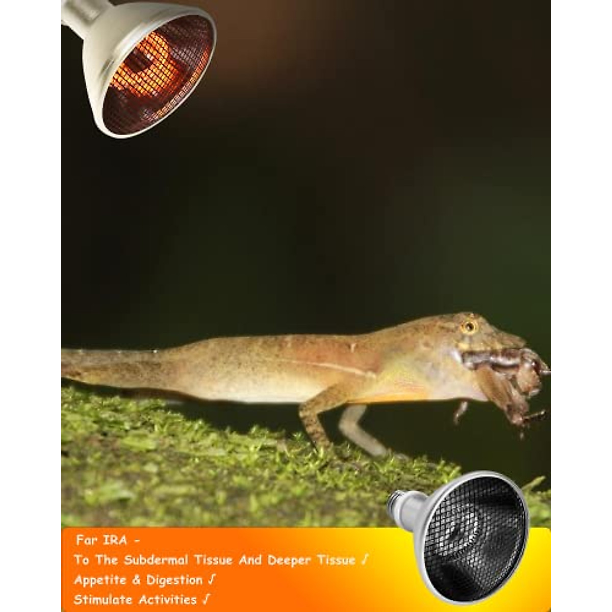 C-Raptile Deep Heat Projector 100W Infrared Reptile Heat Lamp Bulbs Reptile Light