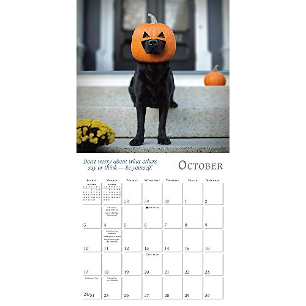 2021 Dogma: A Dogs Guide to Life Mini Calendar
