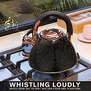 Tea Kettle Stovetop Whistling, 3 QT, Q-Cool Handle, Surgical Grade Stainless Steel Teapot, Compatible with all Stovetops, Beautiful Stone and Copper Finish, Modern Kettle