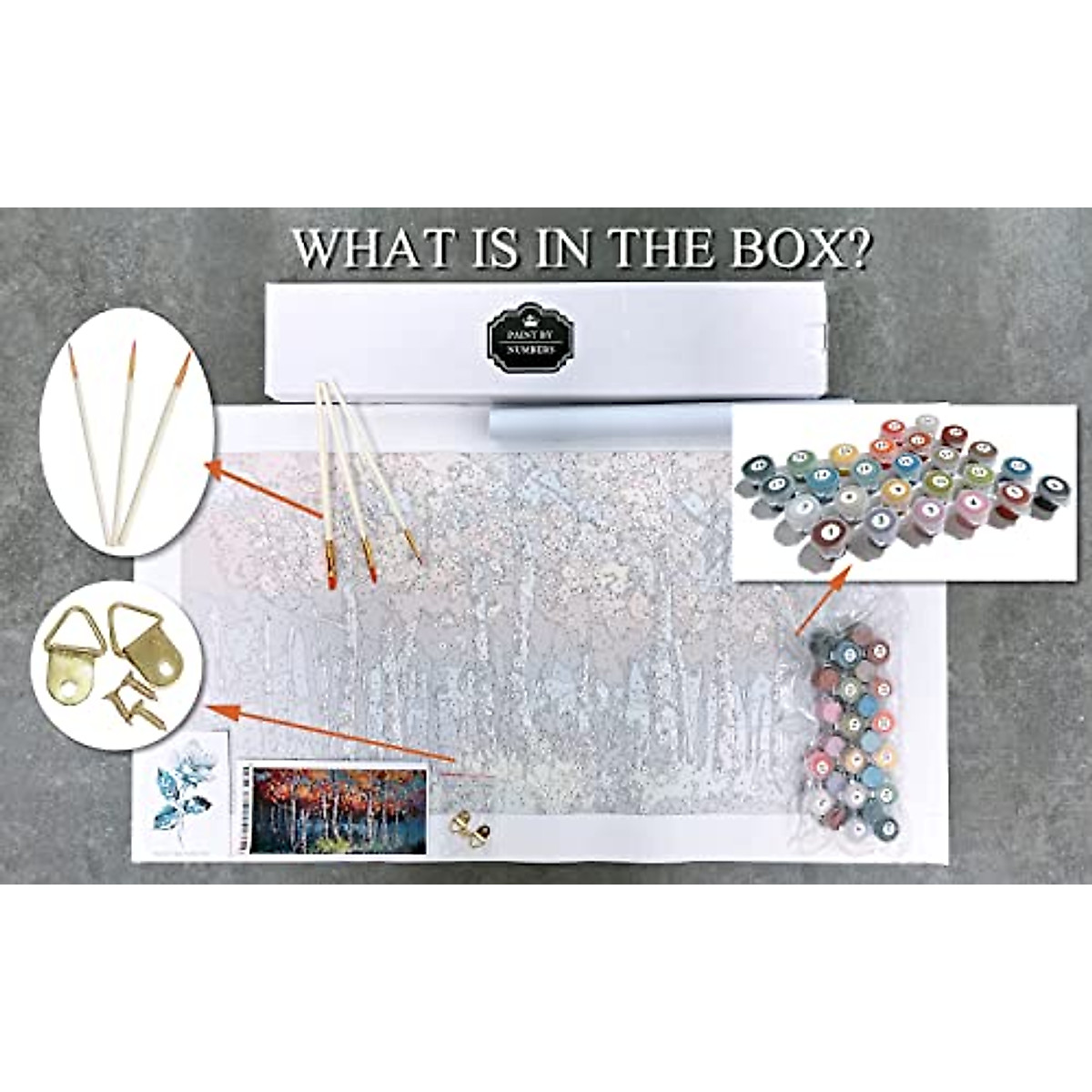 Artmaple Paint by Number for Adults Beginner Students, Ideal Gift Choice for Birthday,Anniversary or Any Festival.DIY Acrylic Painting Kit for Room Decor (12x24, Birch Forest)