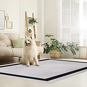 Machine Washable Area Rug with Non Slip Backing & Stain Resistant & Eco Friendly & Family and Pet Friendly - Everest Geometric Modern Bordered Creme & Black Design 5'4''x8'