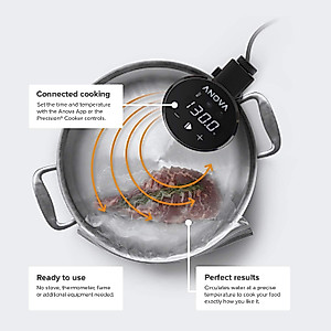 Anova Culinary AN500-US00 Sous Vide Precision Cooker (WiFi), 1000 Watts | Anova App Included, Black and Silver