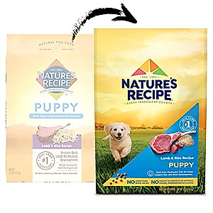 Nature′s Recipe Dry Puppy Food, Lamb & Rice Recipe, 12 lb. Bag